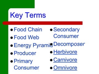 Science 7 notes glb lab 04b food chains and food webs | PPTX