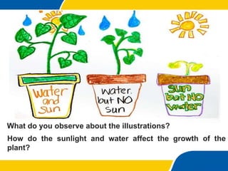 SCIENCE7: Applications of Scientific Investigation | PPTX