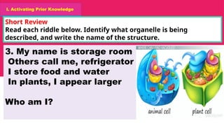Science 7 Q2 Plant and Animal Cell.pptx.pp