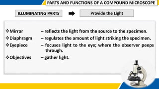 SCIENCE7: The Microscope | PPTX