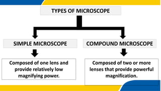 SCIENCE7: The Microscope | PPTX