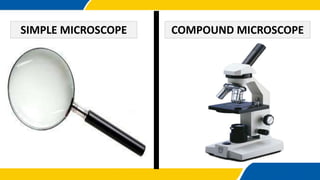 SCIENCE7: The Microscope | PPTX
