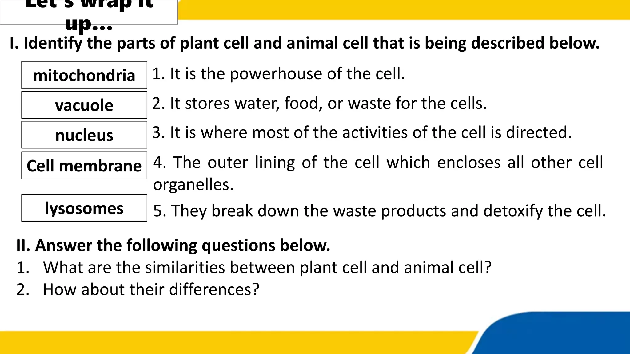 SCIENCE7: Plant and Animal Cells | PPTX