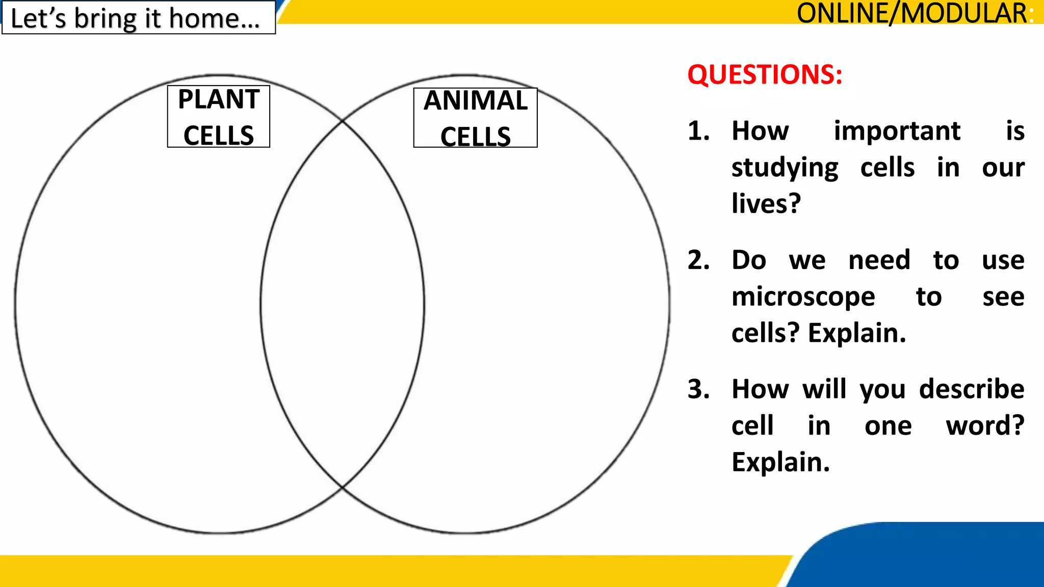 SCIENCE7: Plant and Animal Cells | PPTX
