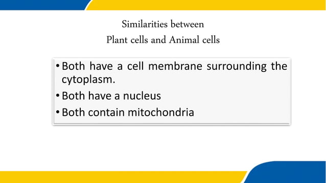 SCIENCE7: Plant and Animal Cells | PPTX