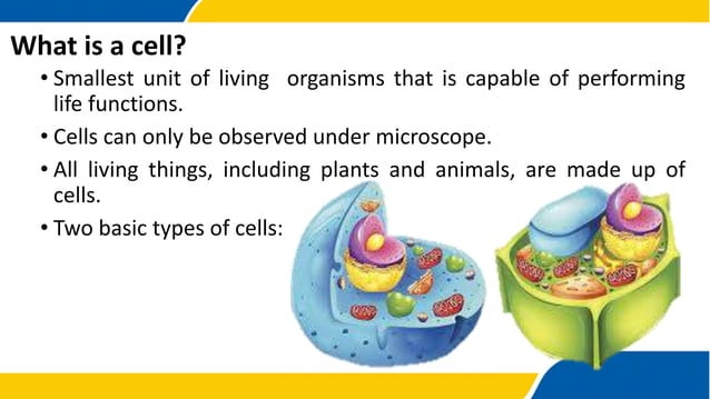SCIENCE7: Plant and Animal Cells | PPTX