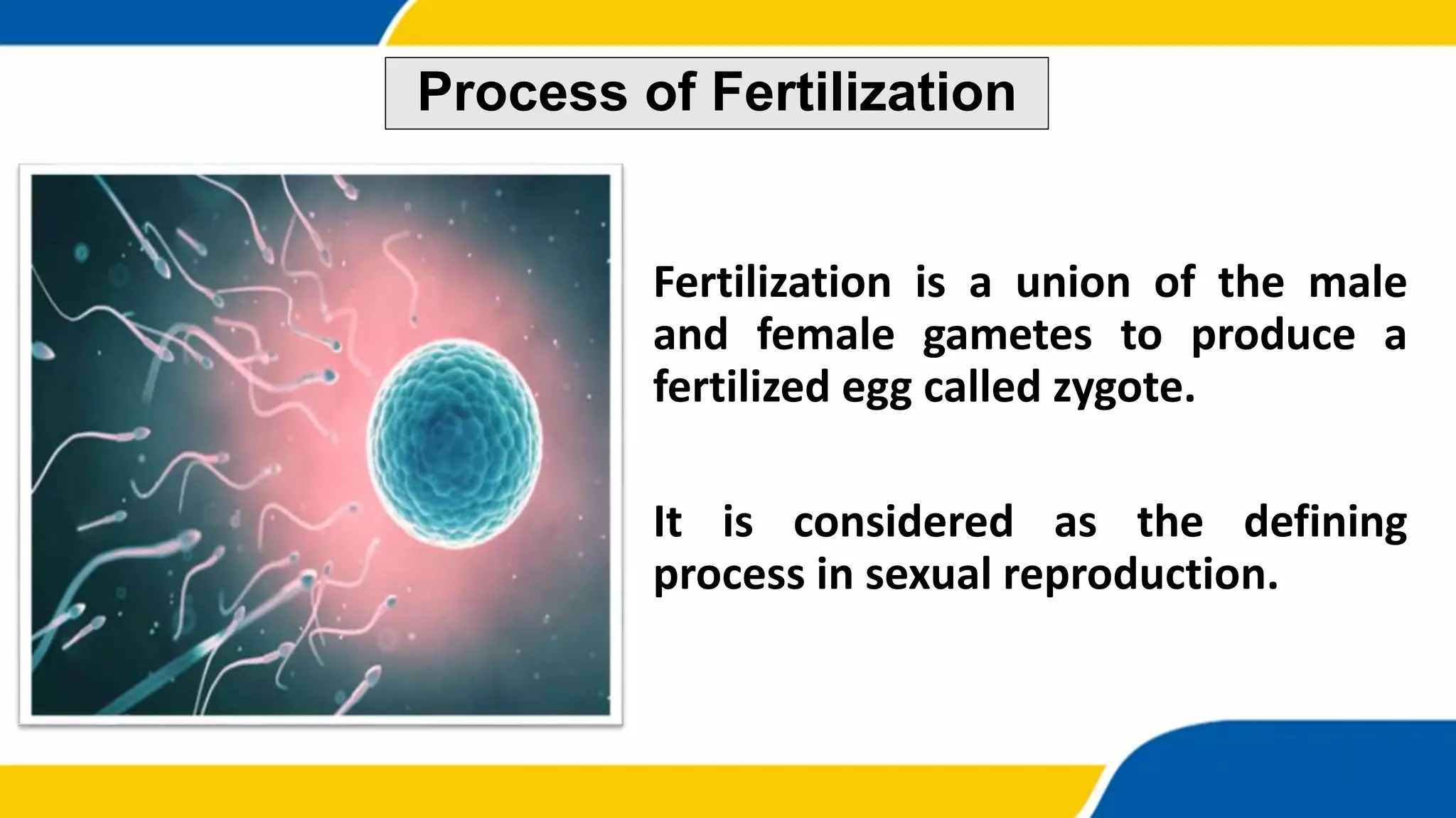 SCIENCE7: Asexual and Sexual Reproduction | PPTX