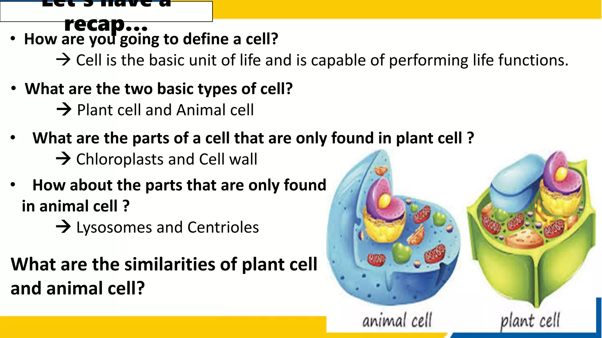 SCIENCE7: Asexual and Sexual Reproduction | PPTX