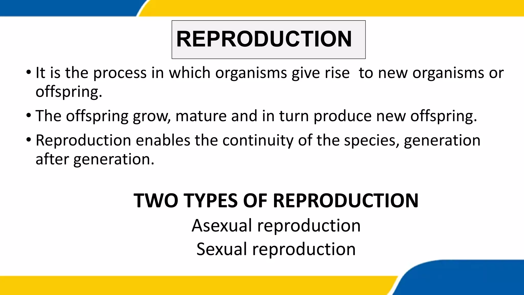 SCIENCE7: Asexual and Sexual Reproduction | PPTX