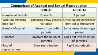 SCIENCE7: Asexual and Sexual Reproduction | PPTX