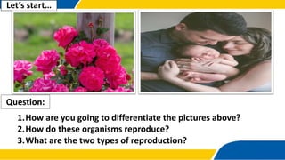 SCIENCE7: Asexual and Sexual Reproduction | PPTX