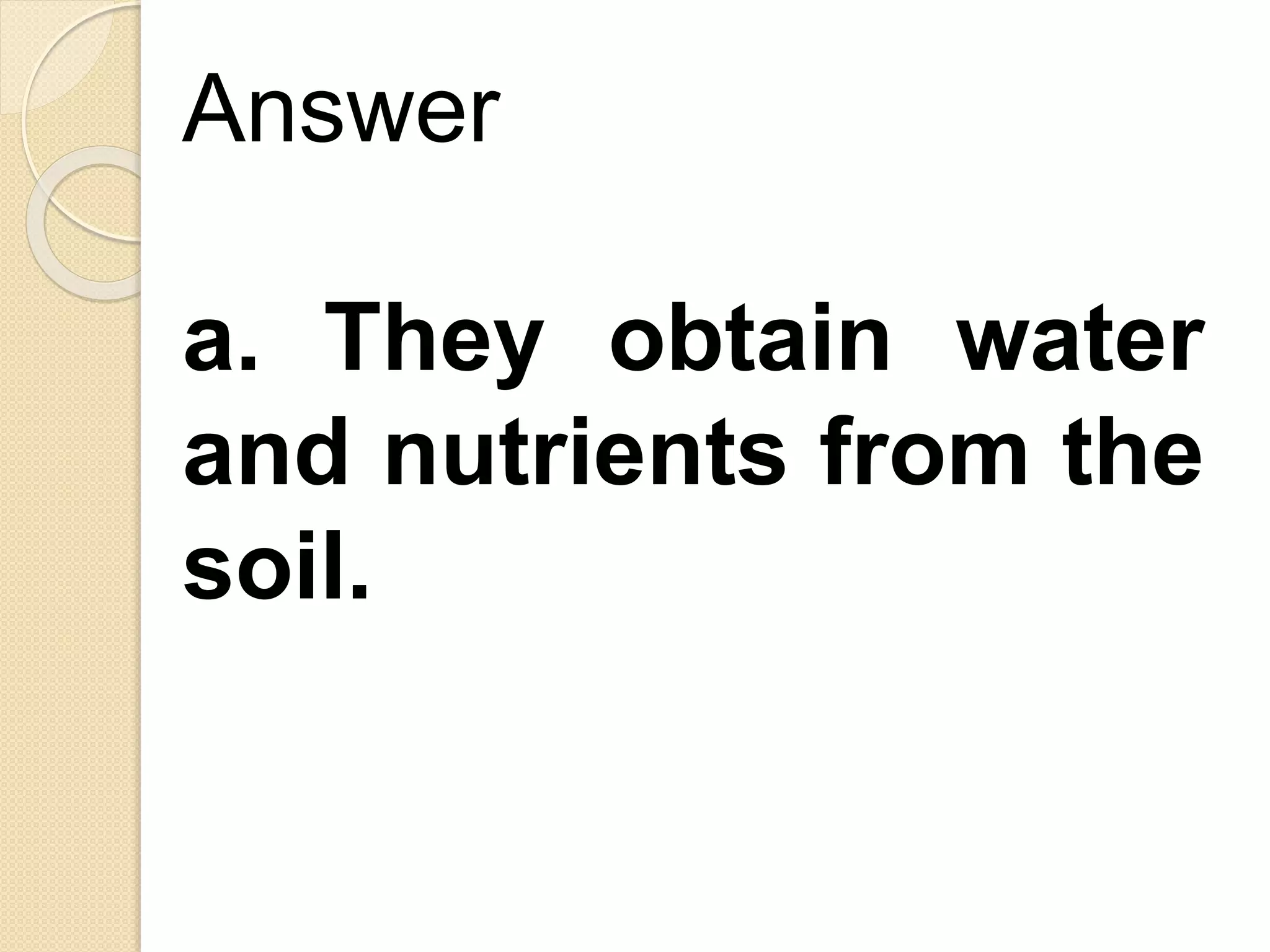 Science 7 Quiz Bee.pptx