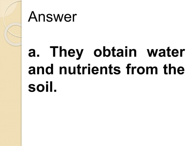 Science 7 Quiz Bee.pptx