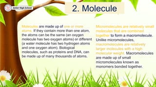 ECOSYSTEM: Levels of Biological Organization | PPTX