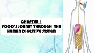 SCIENCE 8 - 1 FOOD'S JOURNEY THROUGH THE HUMAN DIGESTIVE SYSTEM.pptx