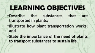 SCIENCE 8 - 6 PLANT TRANSPORTATION .pptx