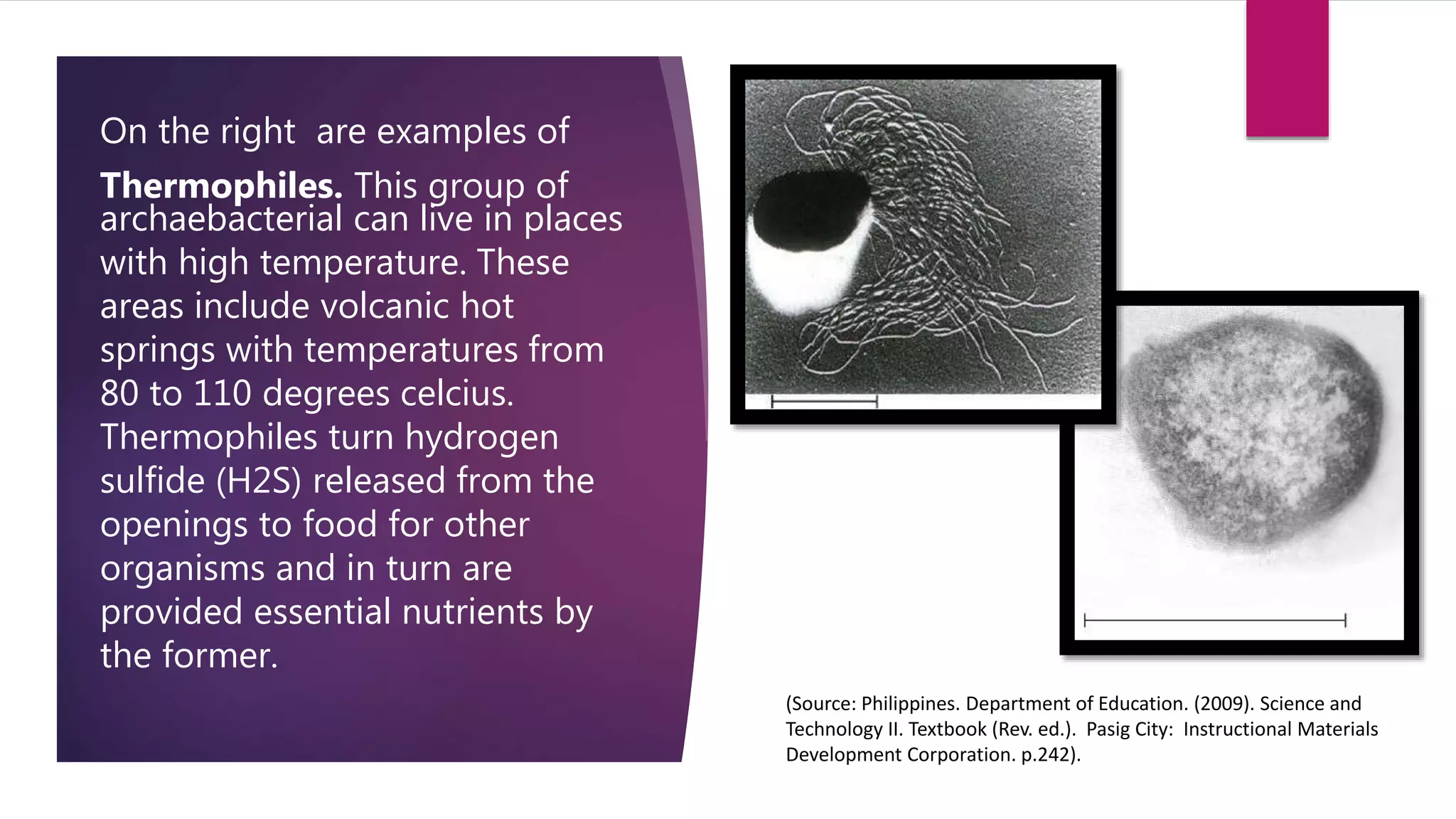 SCIENCE 8 - Biodiversity.pptx