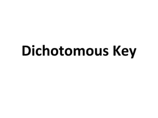 Dichotomous Key | PPT