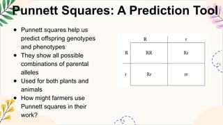SCIENCE8-Q1-5.-predict-simple-ratios-of-offspring-genotypes-and ...