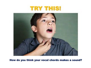 Science 8 - Sounds.pptx