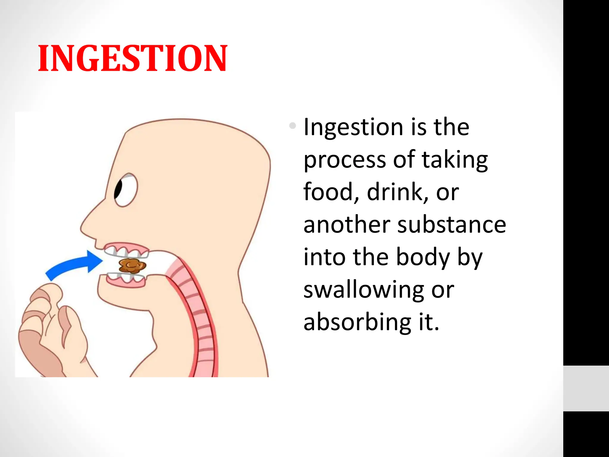 SCIENCE8-The-Digestive-System.pptx