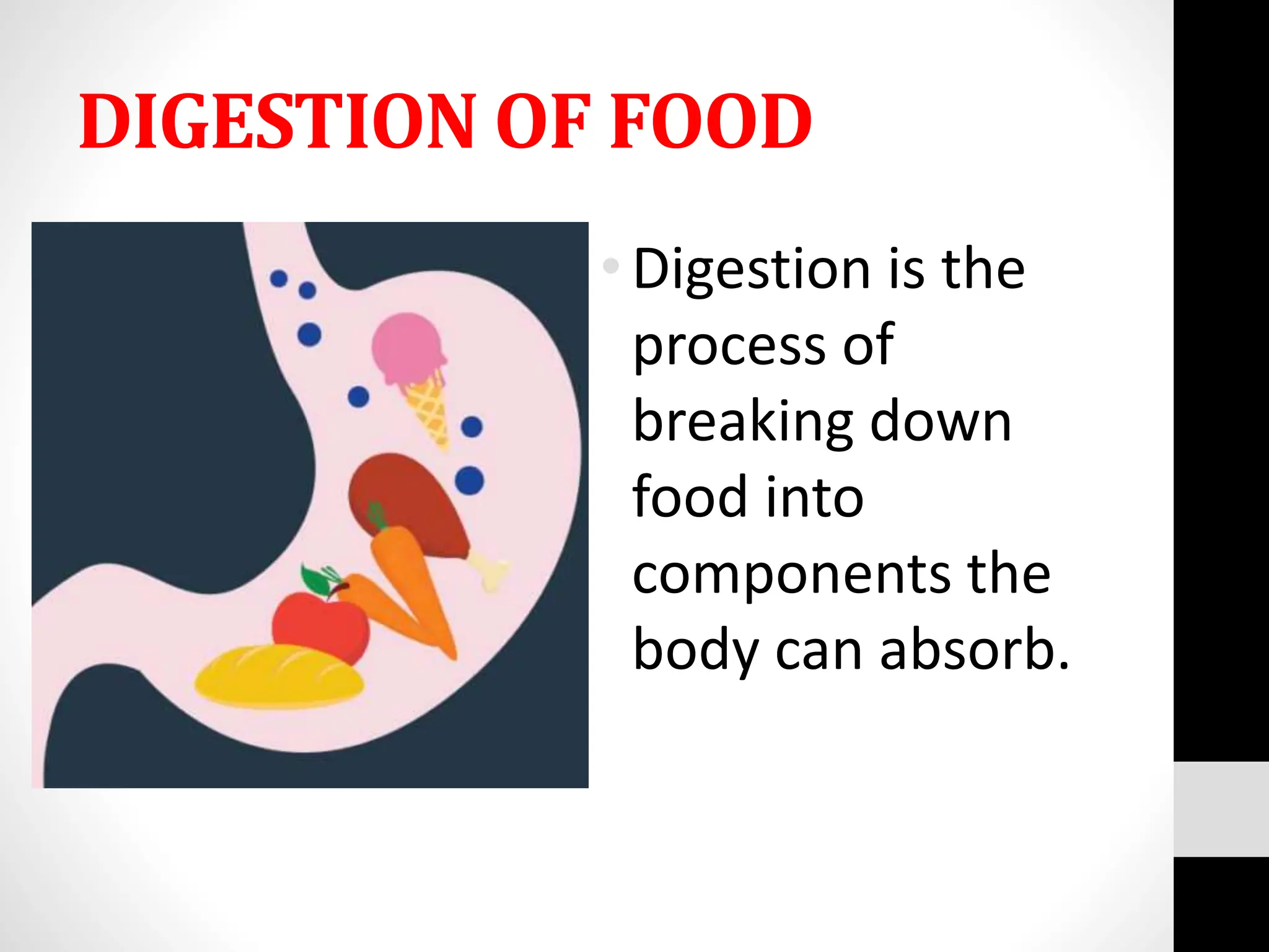 SCIENCE8-The-Digestive-System.pptx