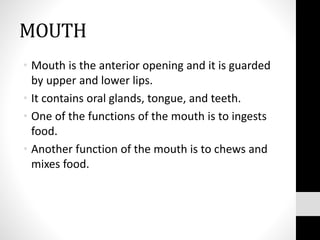 SCIENCE8-The-Digestive-System.pptx