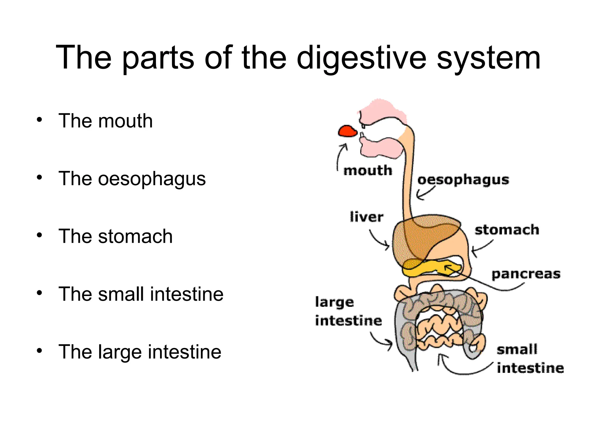 SCIENCE 8-WEEK 1-Q4.ppt................. | PPT