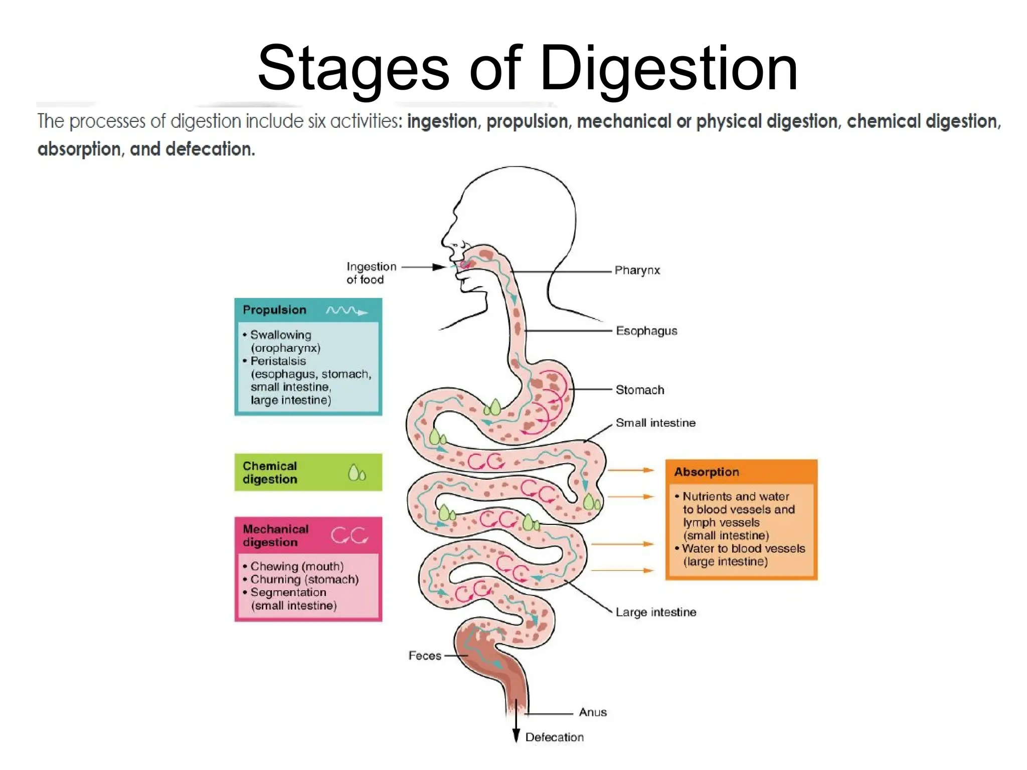 SCIENCE 8-WEEK 1-Q4.ppt................. | PPT