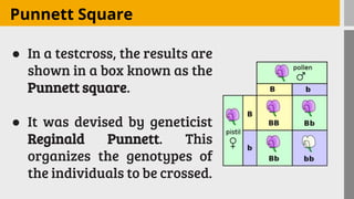Science 8 4th Qtr Lesson 4 Mendelian Pattern of Inheritance.pptx