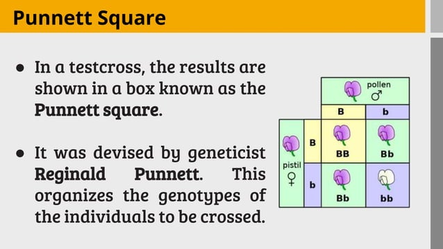 Science 8 4th Qtr Lesson 4 Mendelian Pattern of Inheritance.pptx
