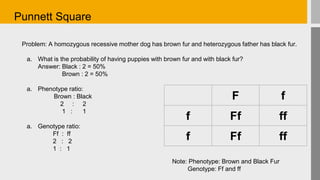 Science 8 4th Qtr Lesson 4 Mendelian Pattern of Inheritance.pptx