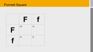 Science 8 4th Qtr Lesson 4 Mendelian Pattern of Inheritance.pptx