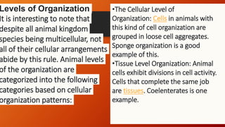 science8_animalia.pptx