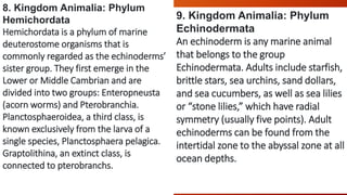 science8_animalia.pptx