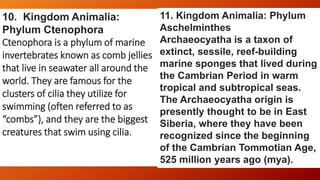 science8_animalia.pptx