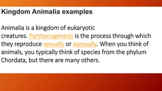 science8_animalia.pptx