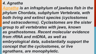 science8_animalia.pptx