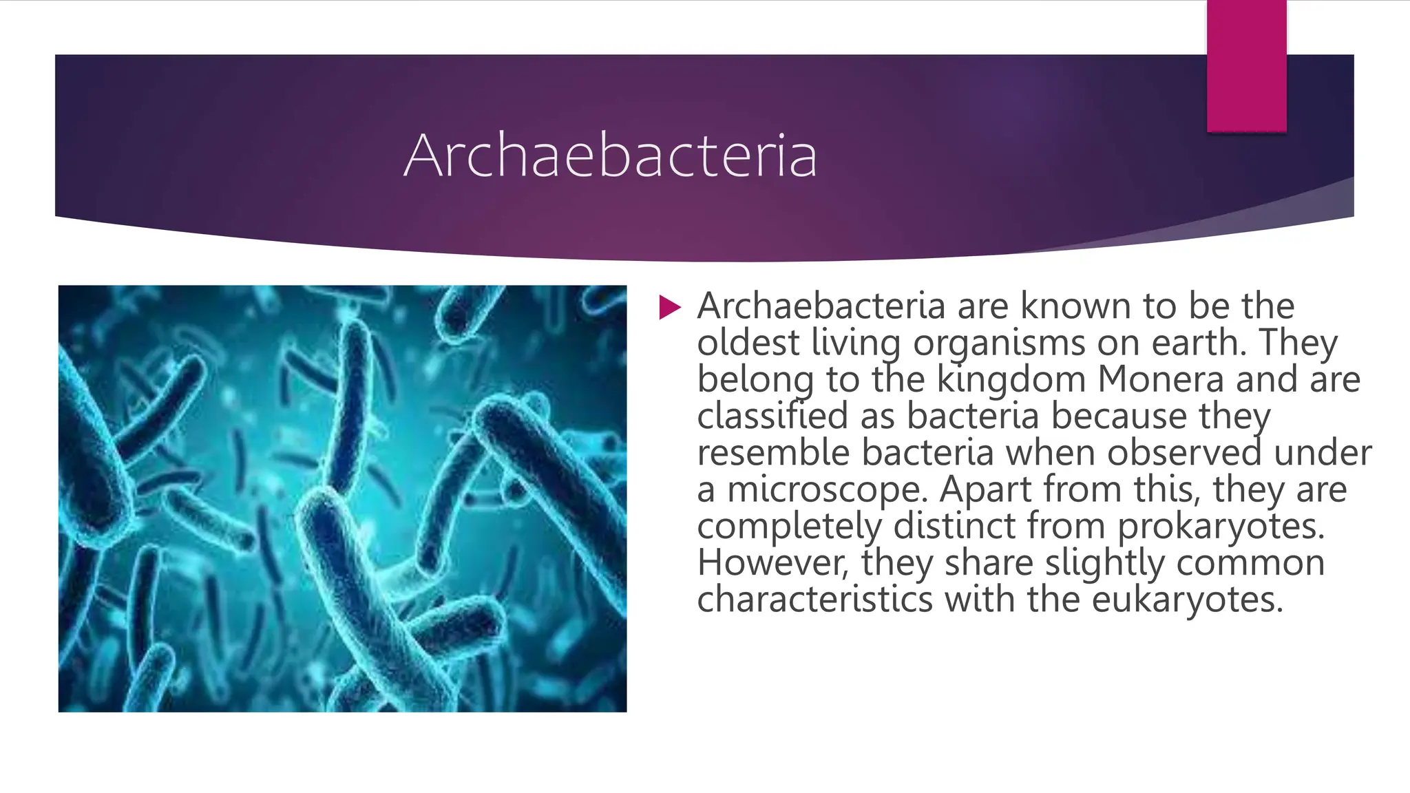 Science 8_Archaebacteria.pptx