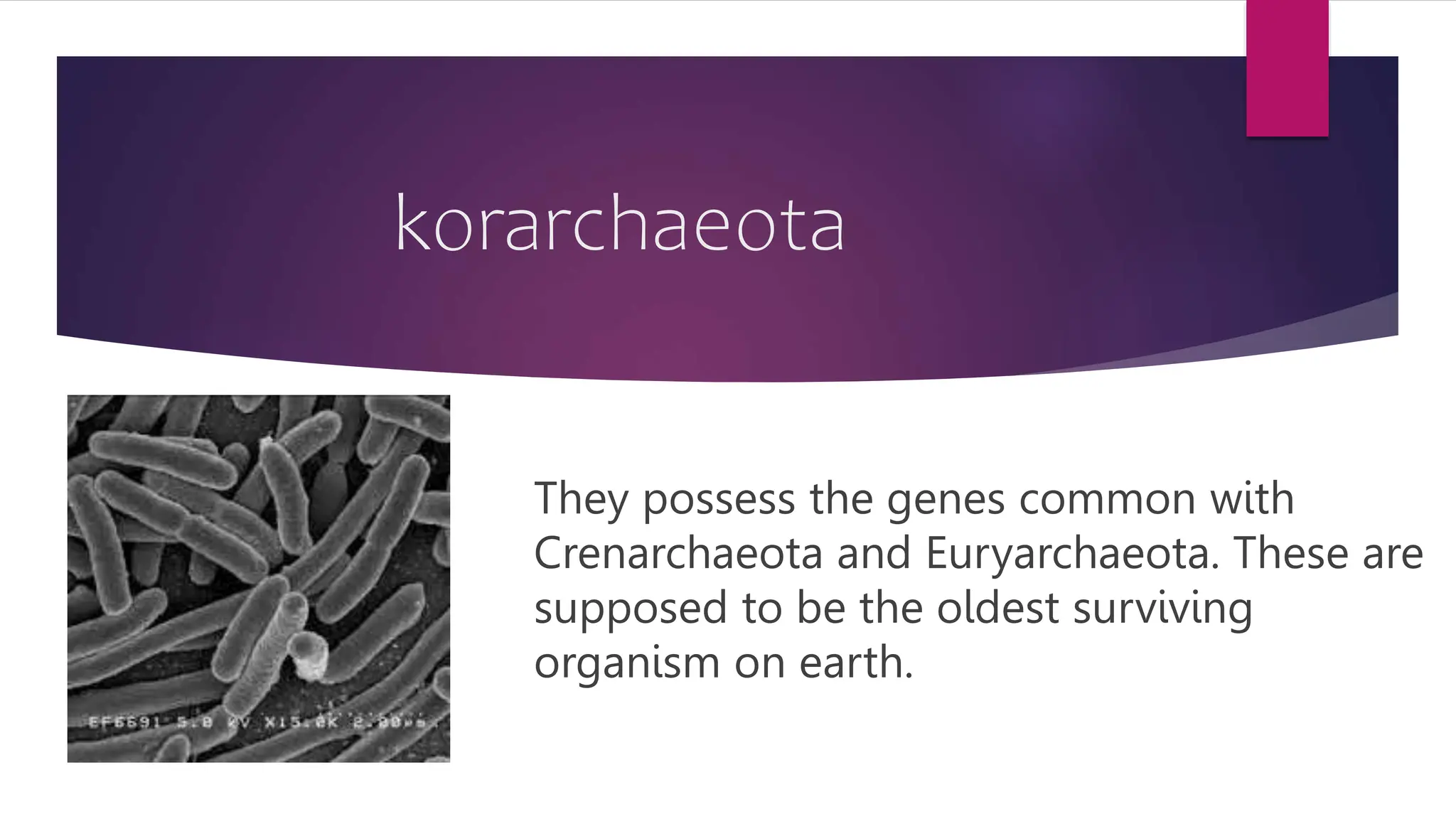 Science 8_Archaebacteria.pptx