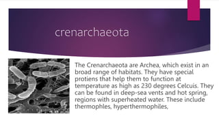 Science 8_Archaebacteria.pptx