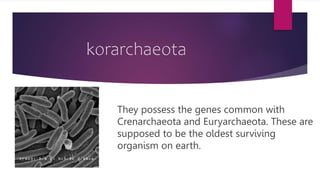 Science 8_Archaebacteria.pptx