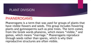 SCIENCE8_PLANTAE.pptx