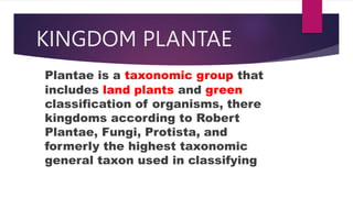 SCIENCE8_PLANTAE.pptx