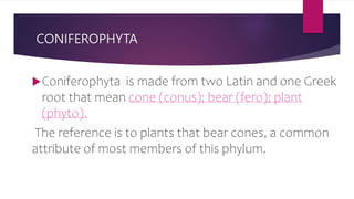 SCIENCE8_PLANTAE.pptx