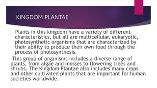 SCIENCE8_PLANTAE.pptx