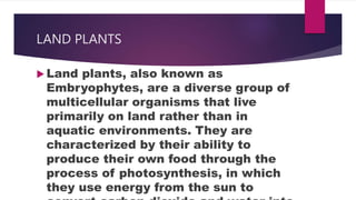 SCIENCE8_PLANTAE.pptx | Gardening | Home & Garden