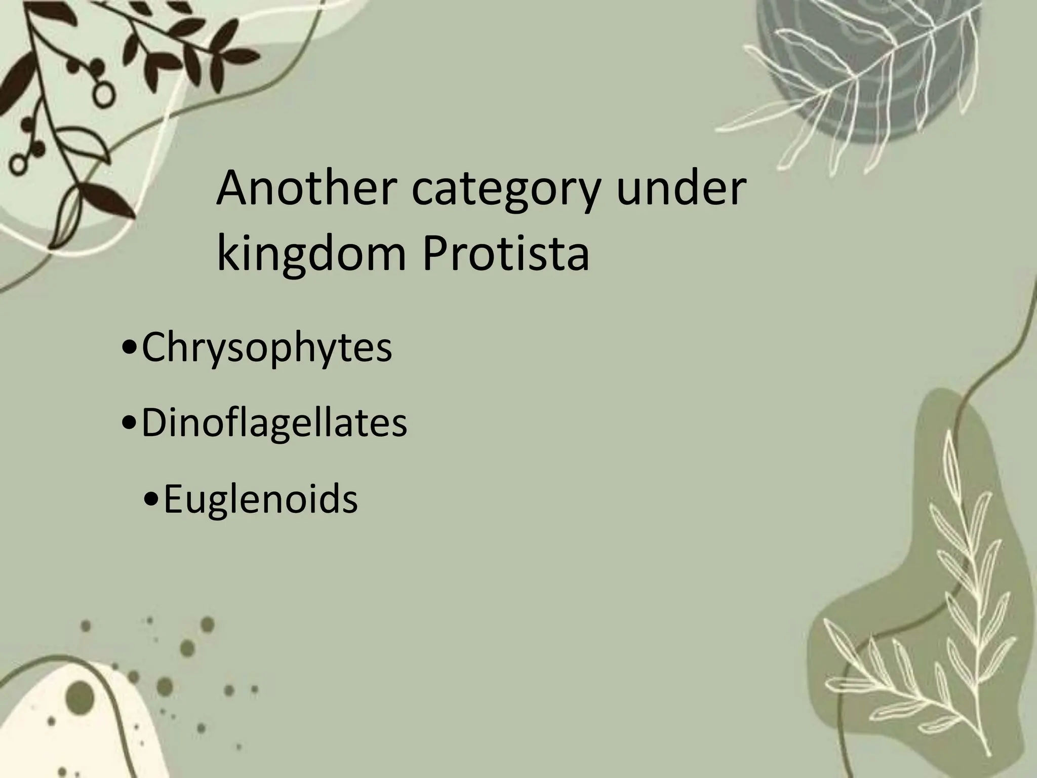 Science8_Protista.pptx