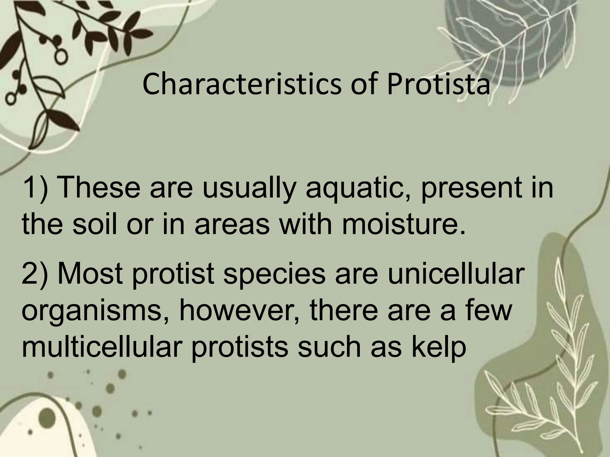 Science8_Protista.pptx