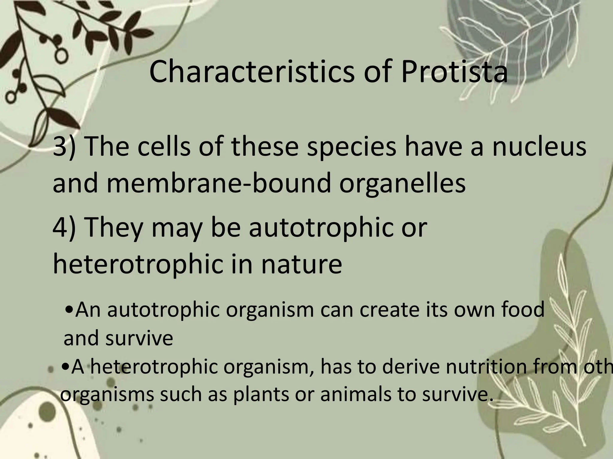 Science8_Protista.pptx